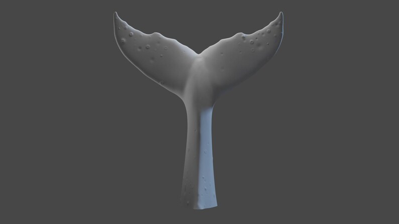 Whale Tail 3d Model, Whale Tail Object, Whale Tail Stl, Whale Tail 3d ...