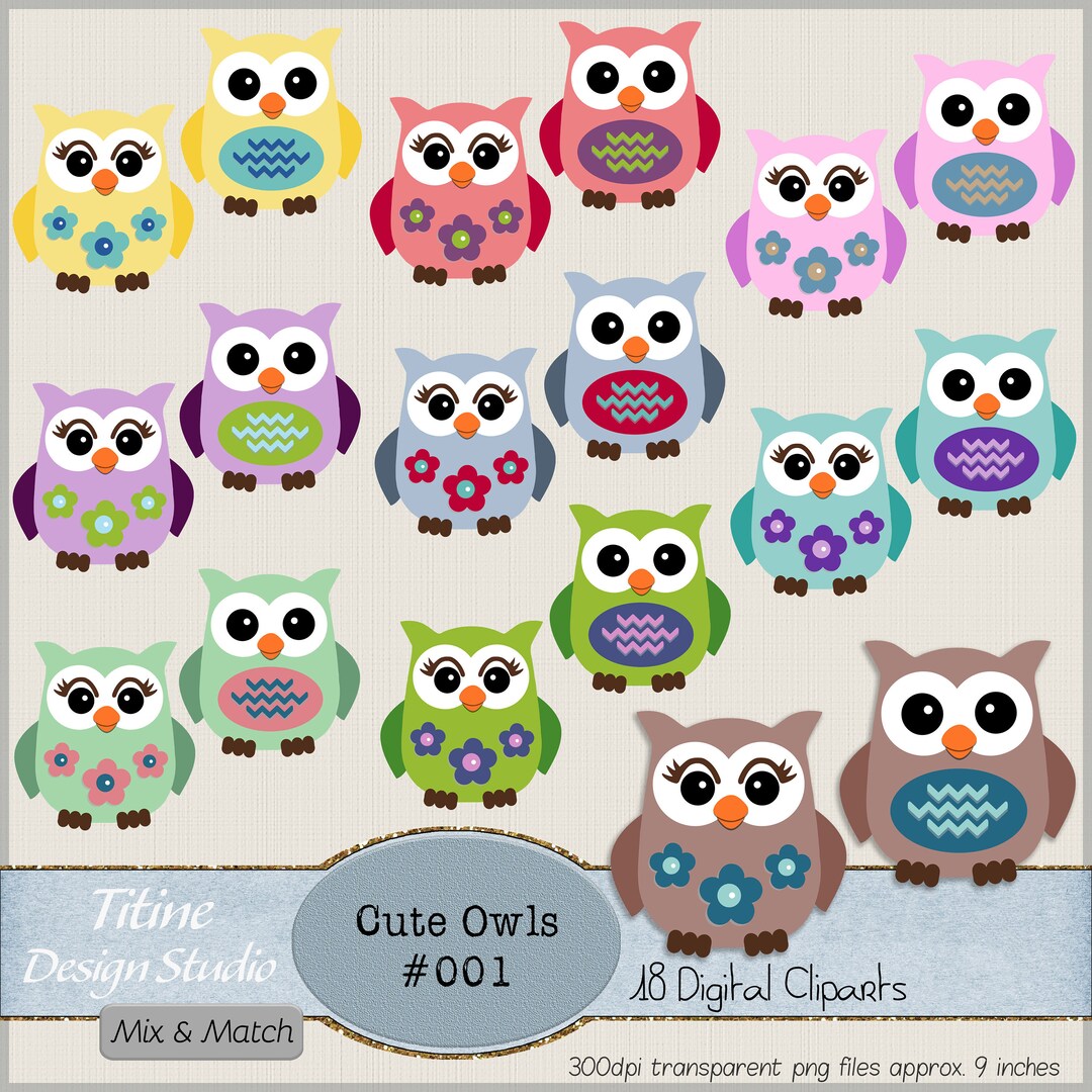 Cute Owl Clip Art Set, Owl Couple Clipart Owl PNG Image, Cute Flower ...
