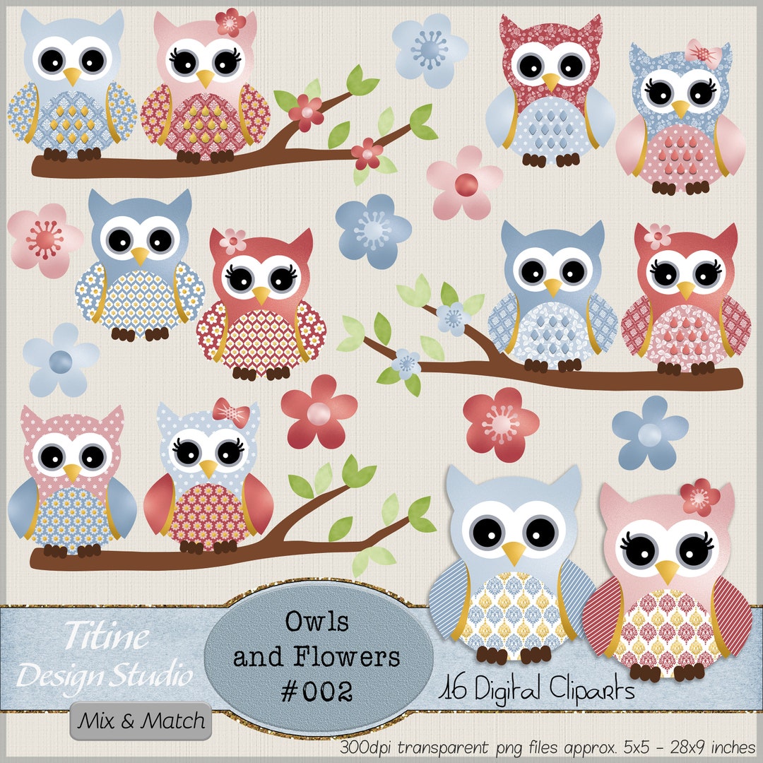 Cute Owl Clip Art Set, Digital Owl PNG, Red, Blue, Gold Owl Clipart Owl ...