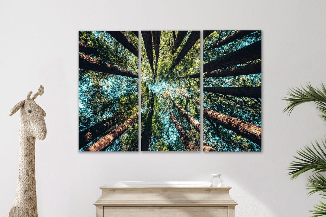 Trees Wall Art Paintings Panel Forest Wall Pictures Posters for Room ...