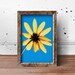 Daisy Flower Art Design Acrylic Colorful Painting by Numbers DIY Paint ...