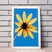 Daisy Flower Art Design Acrylic Colorful Painting by Numbers DIY Paint ...