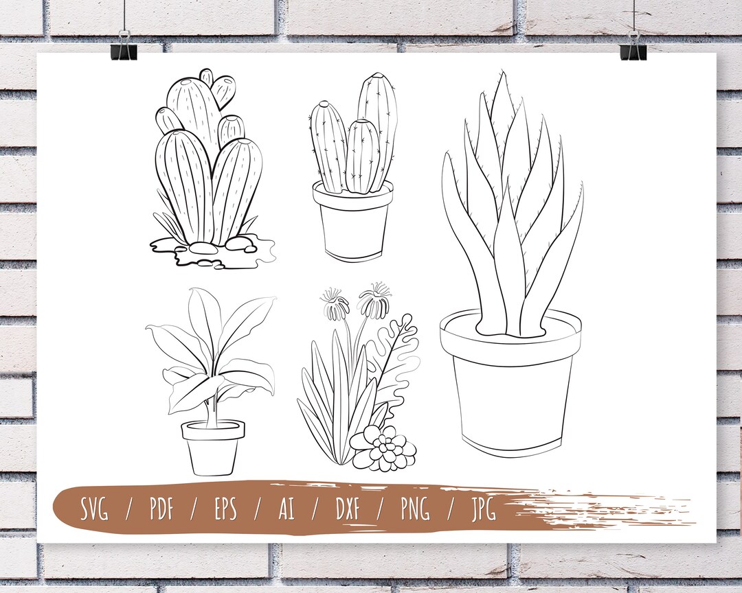Cute Herbs Home Plants Vector Bundle Cut Files for Cricut, Silhouette ...
