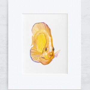 Yellow Fish Watercolor Print, Coastal Beach Art, Seaside Decor - Etsy