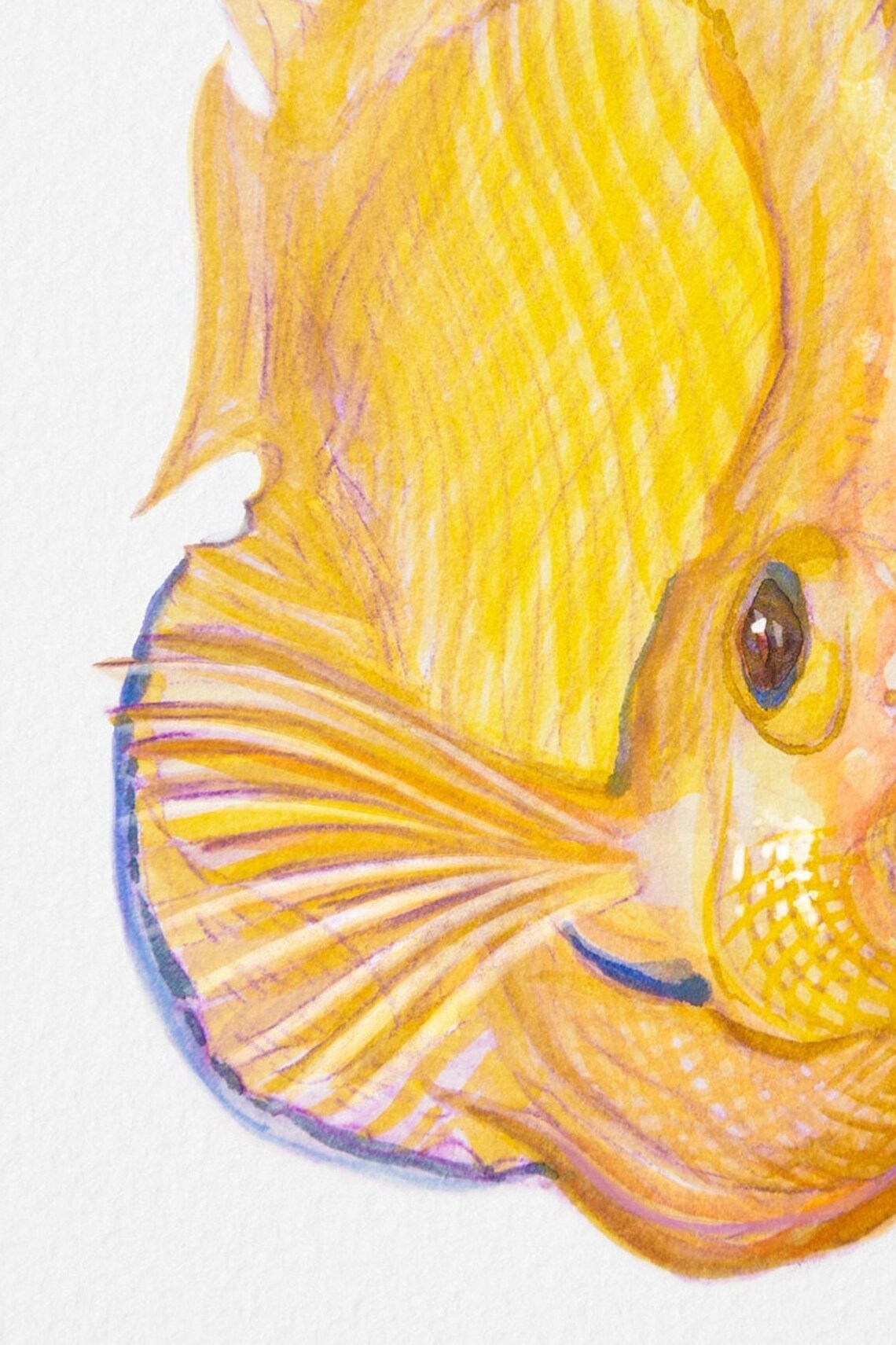 Yellow Fish Watercolor Print, Coastal Beach Art, Seaside Decor - Etsy