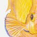 Yellow Fish Watercolor Print, Coastal Beach Art, Seaside Decor - Etsy