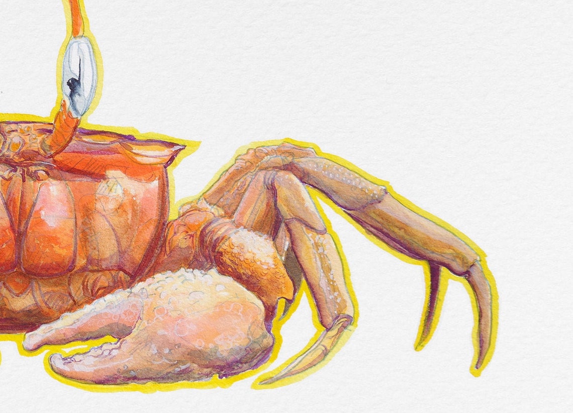 Yellow Crab Watercolor Print, Coastal Beach Art, Seaside Decor - Etsy