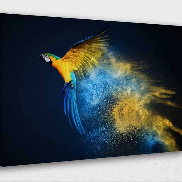 Parrot Poster - Etsy