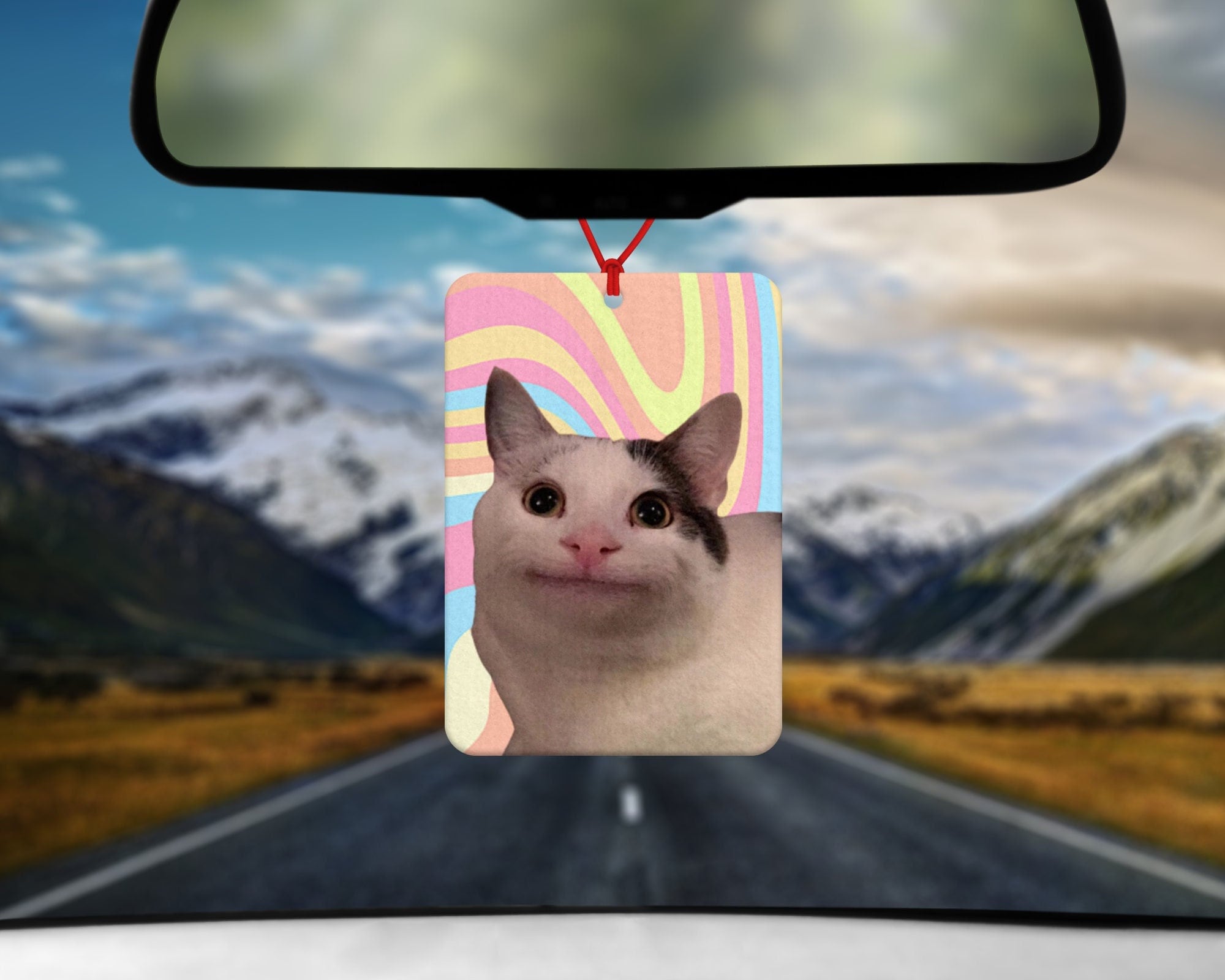 Cat Smirking Meme Air Freshener Car Air Freshener Car - Etsy UK