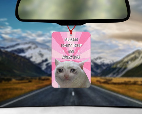 Mustang Memes Please Don't Beep I'm Sensitive Crying Cat Meme Air