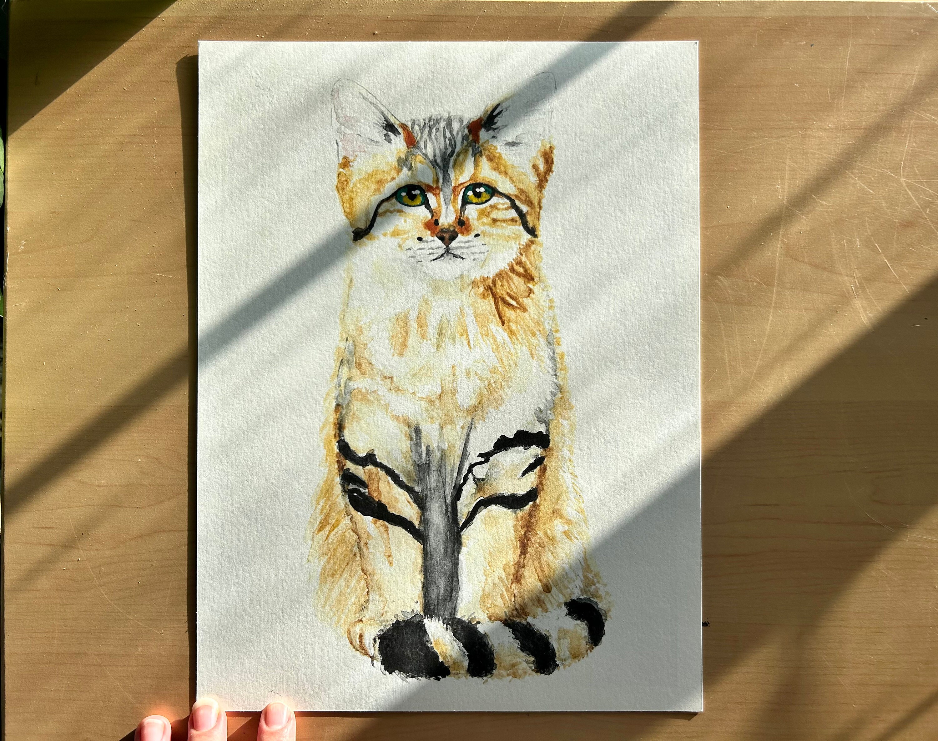 Sand Cat Original Watercolor Art Print - Etsy