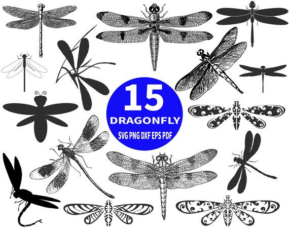 Libellule svg dragonfly bundle svg dragonfly vector | Etsy