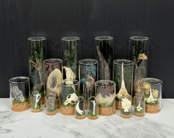 Small Oddities Mystery Box - Etsy