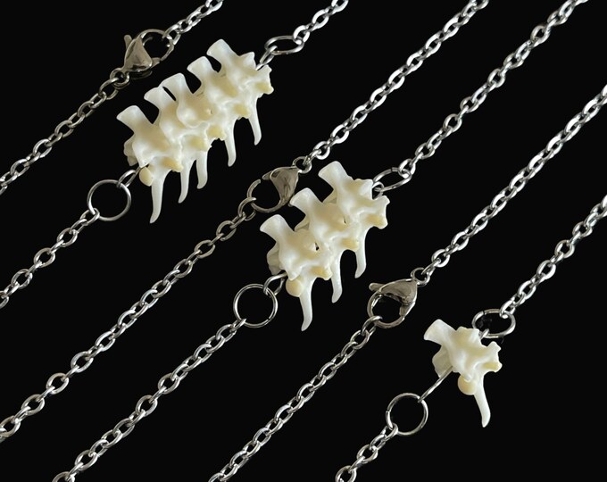 Boa Constrictor Snake Vertebrae Bones 18" Stainless Steel Oddity ...