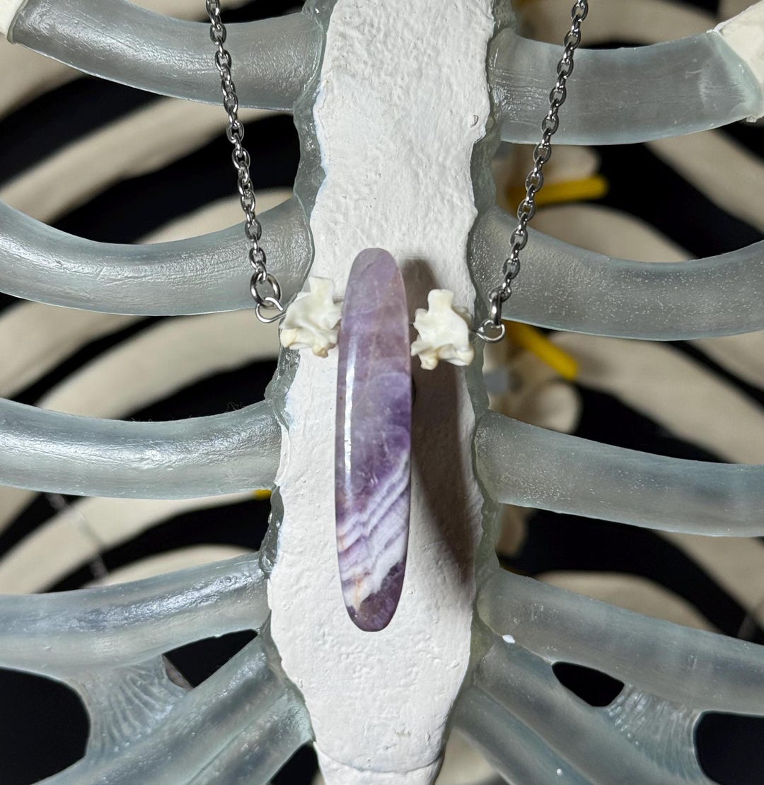 Boa Constrictor Vertebrae Bones & Amethyst Oddity Necklace, 19.5 ...