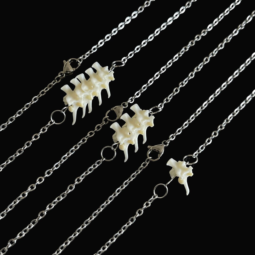Boa Constrictor Snake Vertebrae Bones 18 Stainless Steel Oddity ...