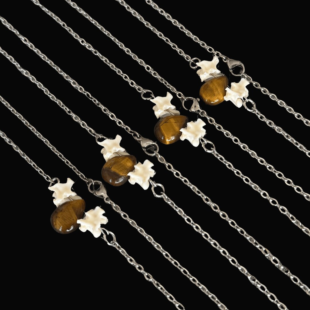 Boa Constrictor Snake Vertebrae Bones & Tiger's Eye Crystal Necklace ...