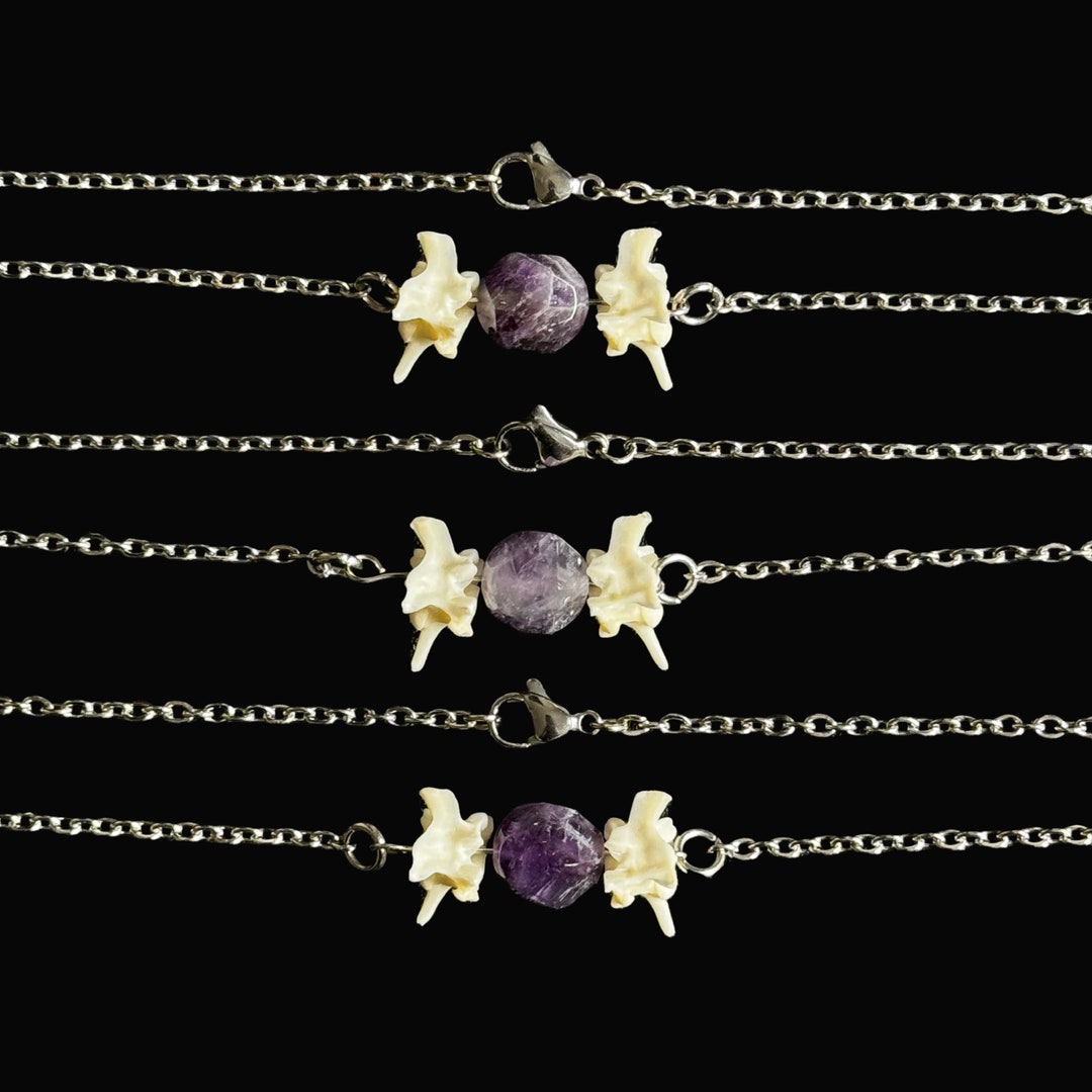Boa Constrictor Snake Vertebrae Bones & Amethyst Crystal 18 Stainless ...