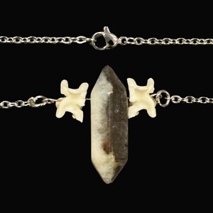 Boa Constrictor Snake Vertebrae Bones & Amazonite Crystal Oddity ...