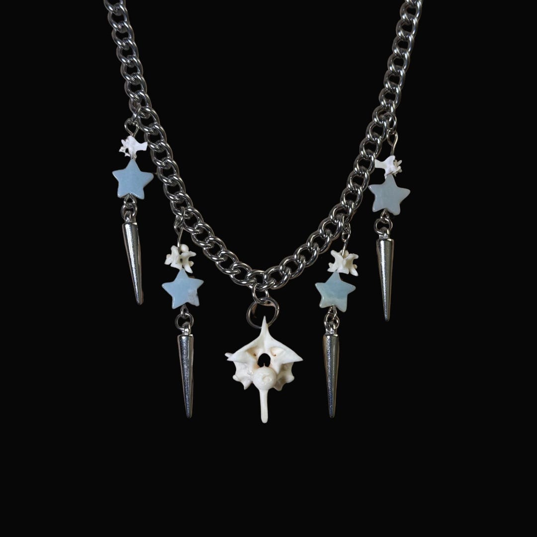 Rattlesnake & Boa Constrictor Vertebrae Bones Industrial Gothic ...