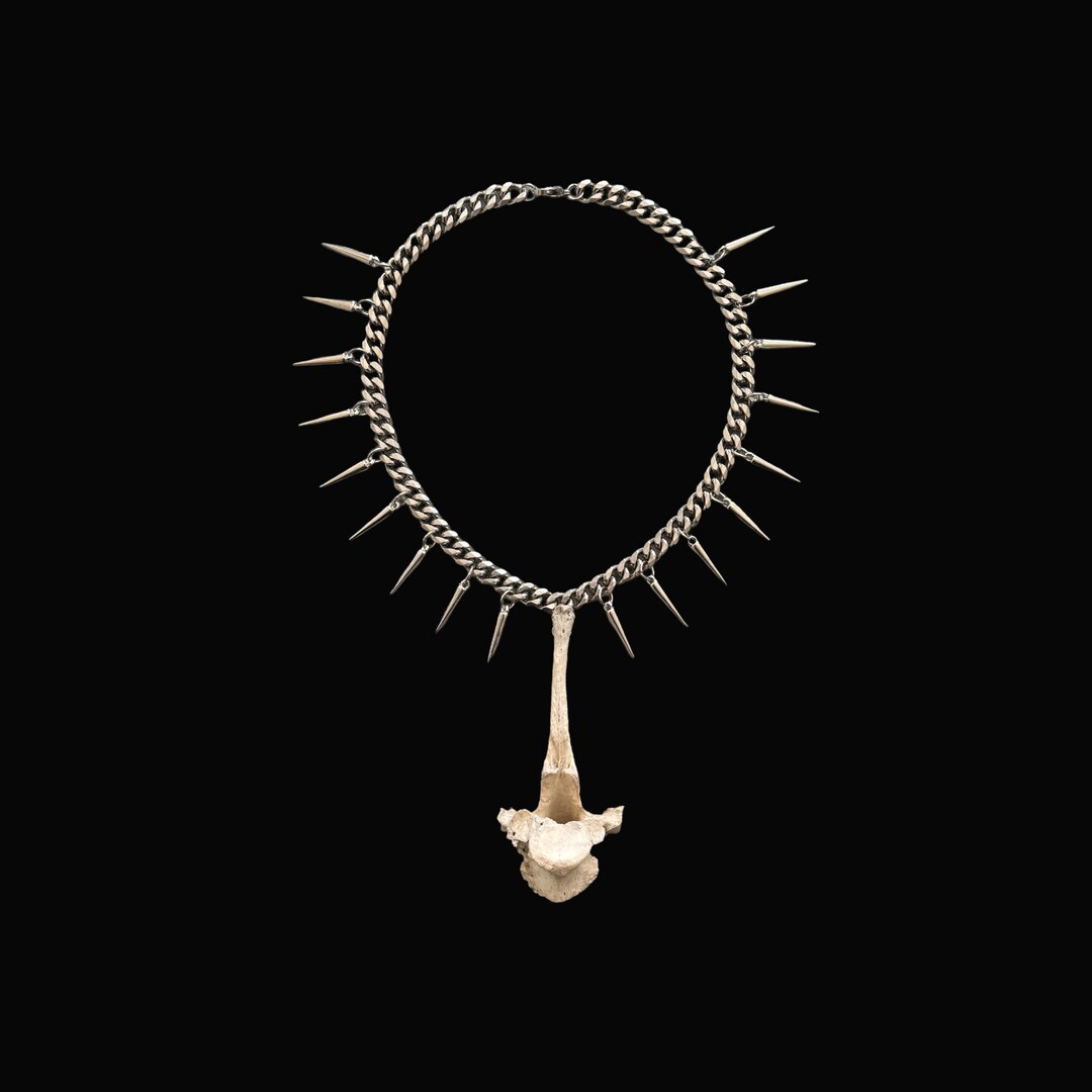 Goat Vertebra Bone & Spikes Gothic Stainless Steel Oddity Necklace - Etsy