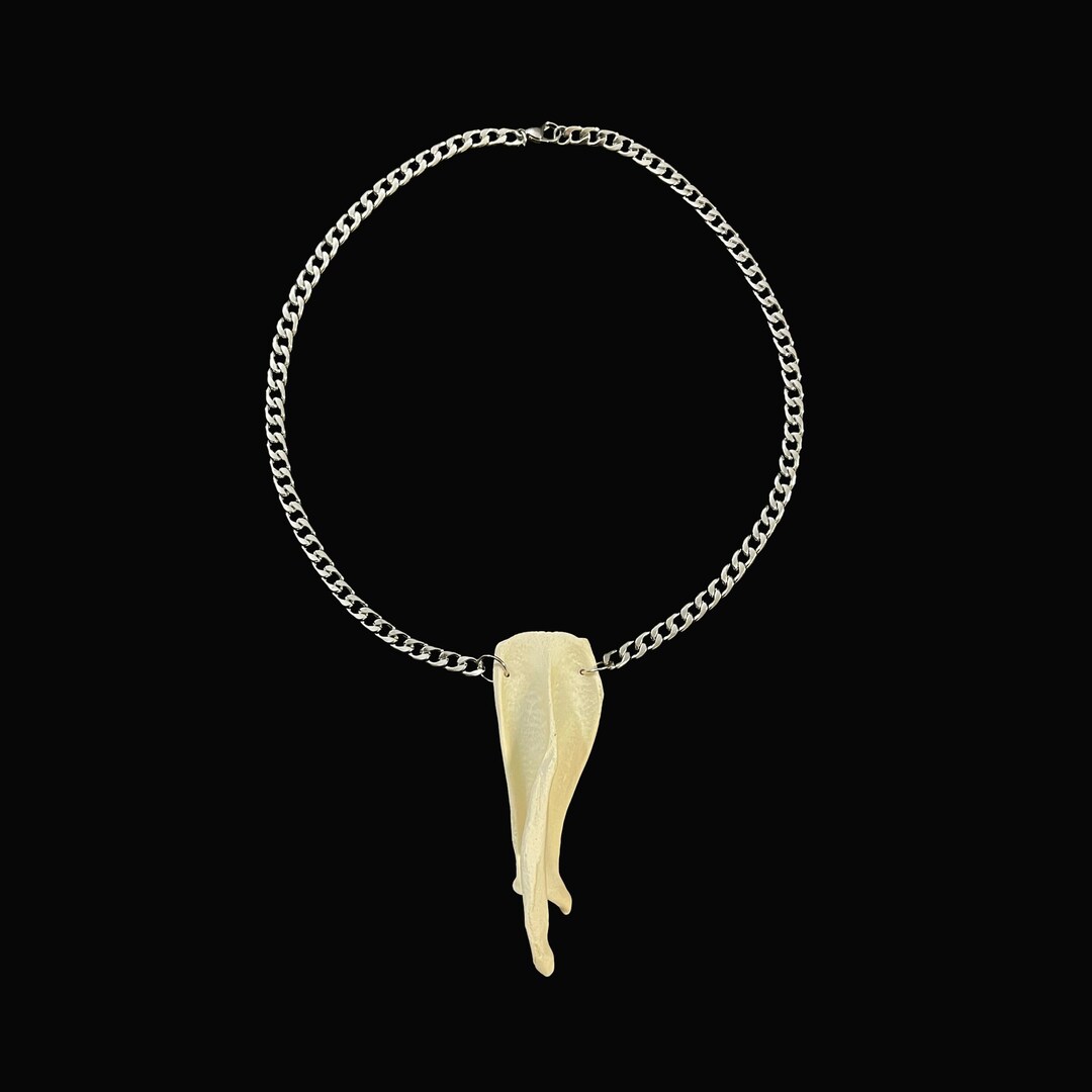 Beaver Scapula Bone 18 Stainless Steel Gothic Oddity - Etsy