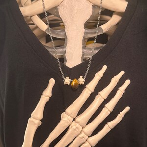Boa Constrictor Snake Vertebrae Bones & Tiger's Eye Crystal Necklace ...