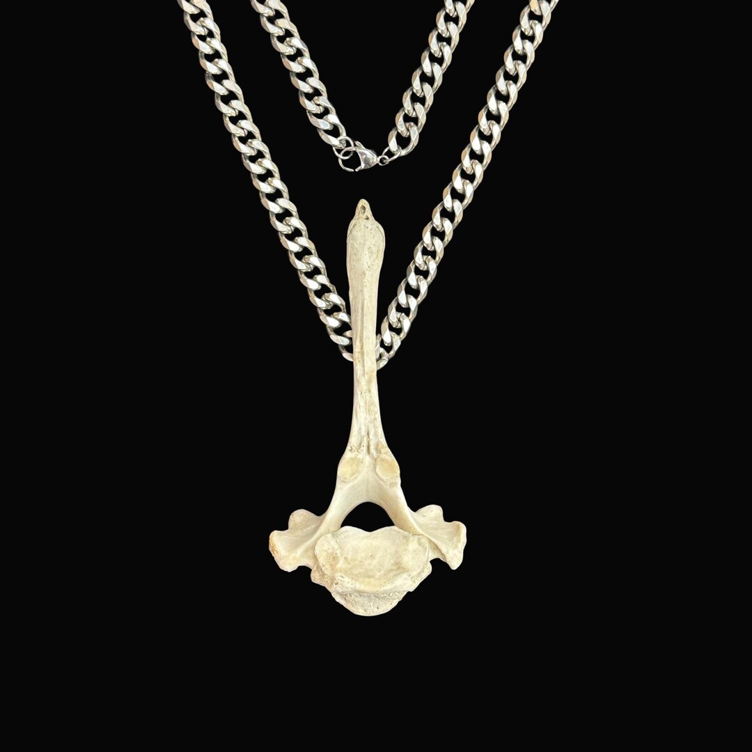 Goat Vertebra Bone 18" Stainless Steel Oddity Necklace - Etsy