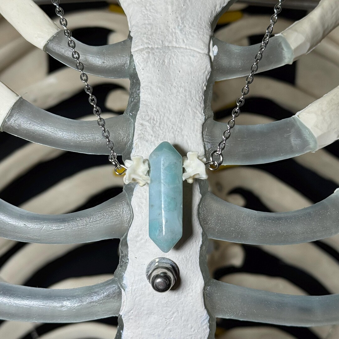 Boa Vertebrae & Amazonite Necklace: Stainless Steel Oddity Jewelry - Etsy