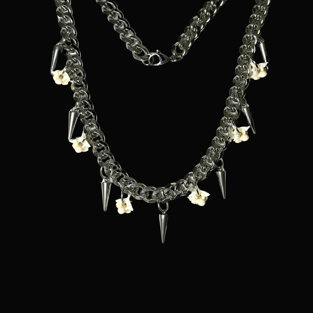 Boa Constrictor Snake Vertebrae Bones & Spikes Stainless Steel Oddity ...