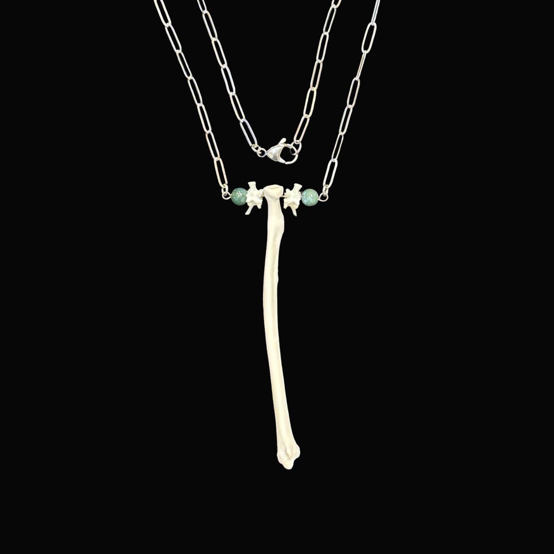 Raccoon & Ball Python Bones 24" Stainless Steel Oddity Necklace, Gothic ...