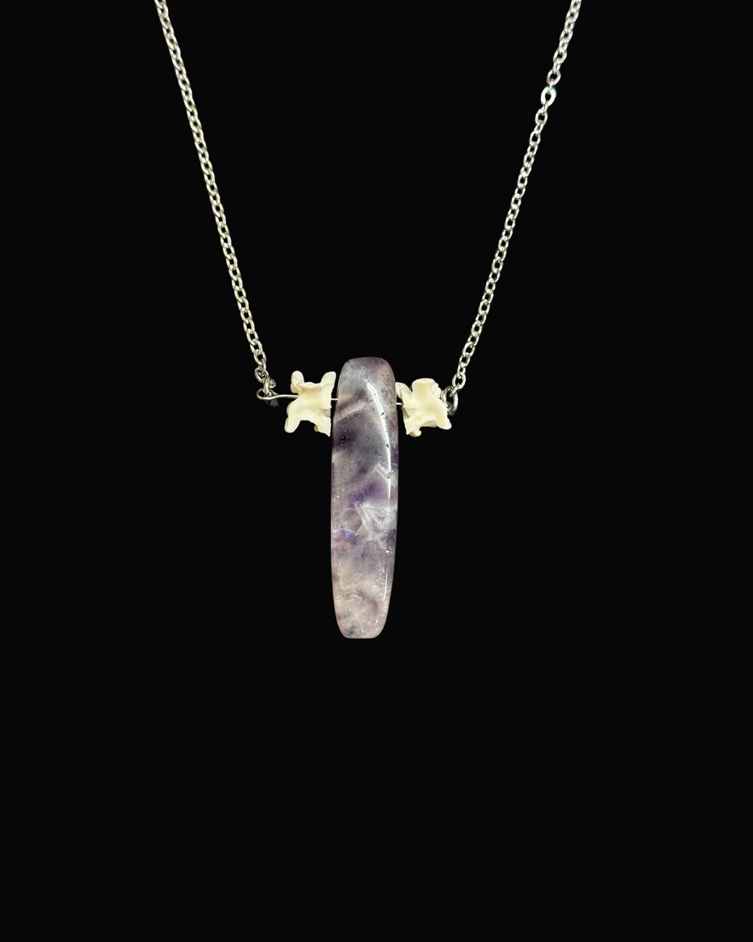 Boa Constrictor Snake Vertebrae Spine Bones & Amethyst Oddity Necklace ...
