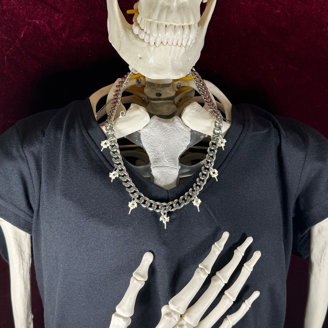 9pc Boa Constrictor Vertebrae Bones 18 Stainless Steel Necklace - Etsy