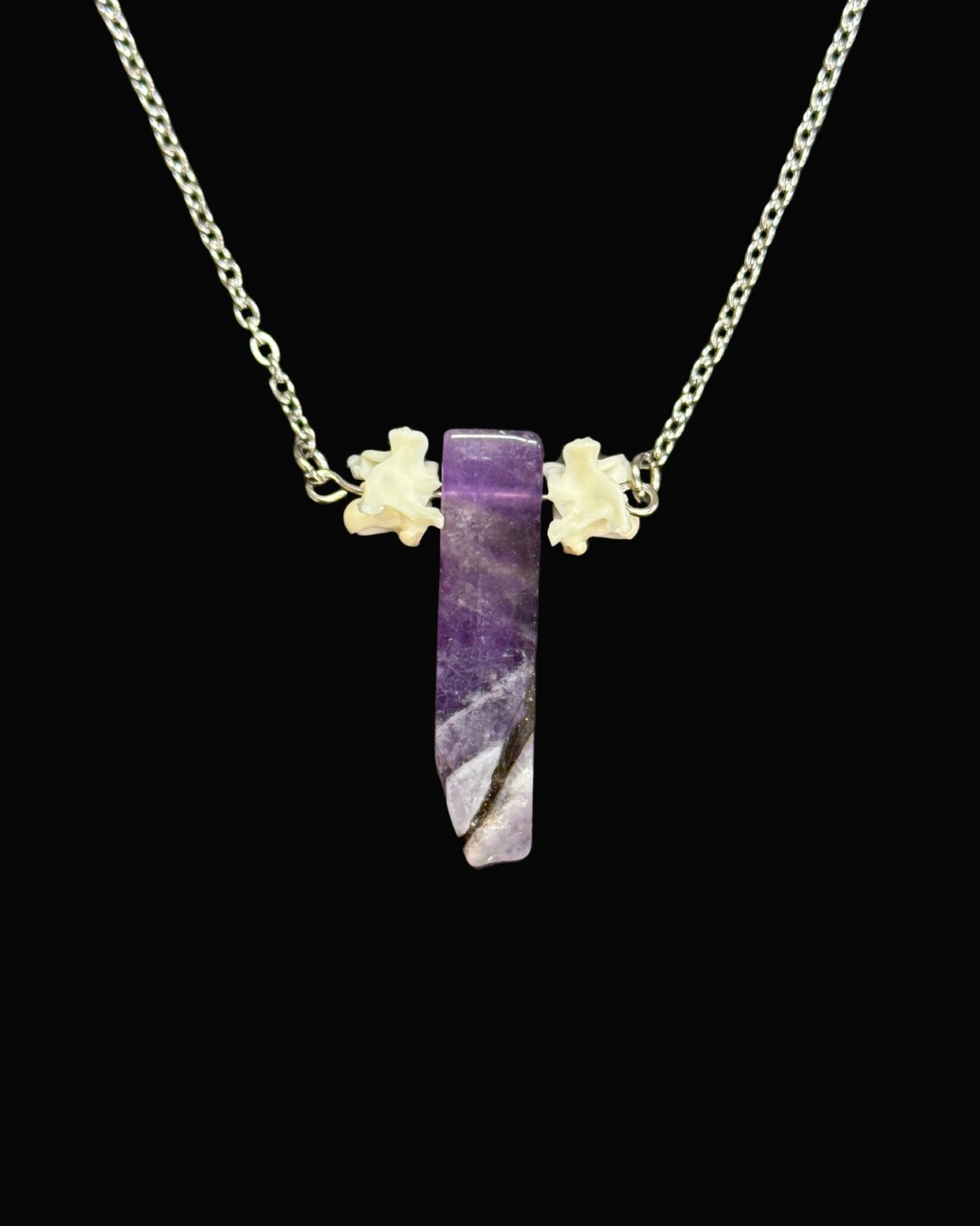 Boa Constrictor Snake Vertebrae Spine Bones & Amethyst Oddity Necklace ...