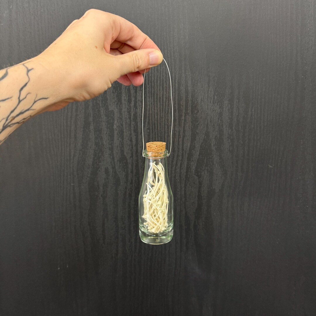 Ball Python Snake Rib Bones Glass Vial Oddity Curio Collection Display ...