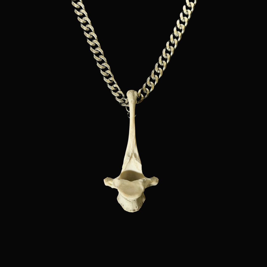 Goat Vertebra Bone 18 Stainless Steel Oddity Necklace - Etsy