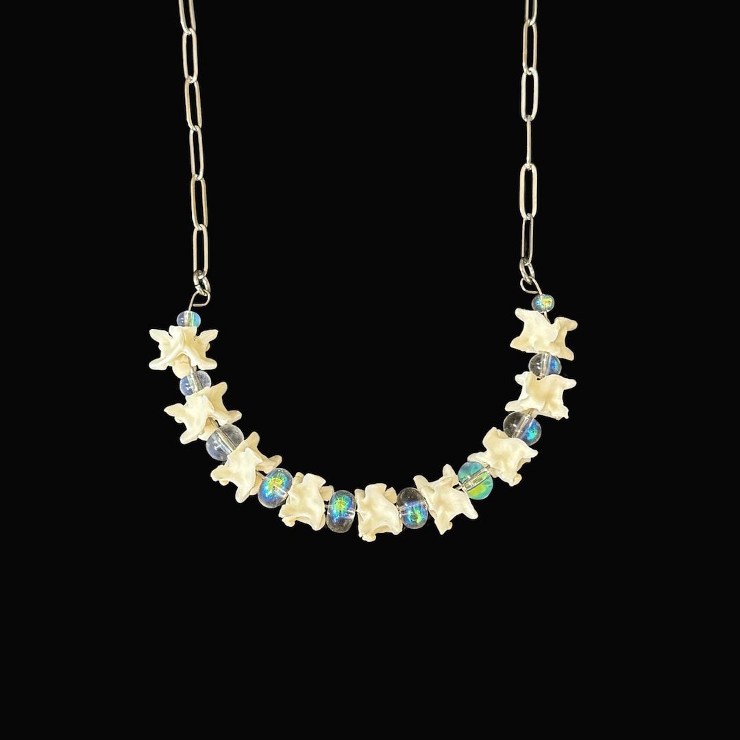 Boa Constrictor Snake Vertebrae Bones & Iridescent Beads Stainless ...