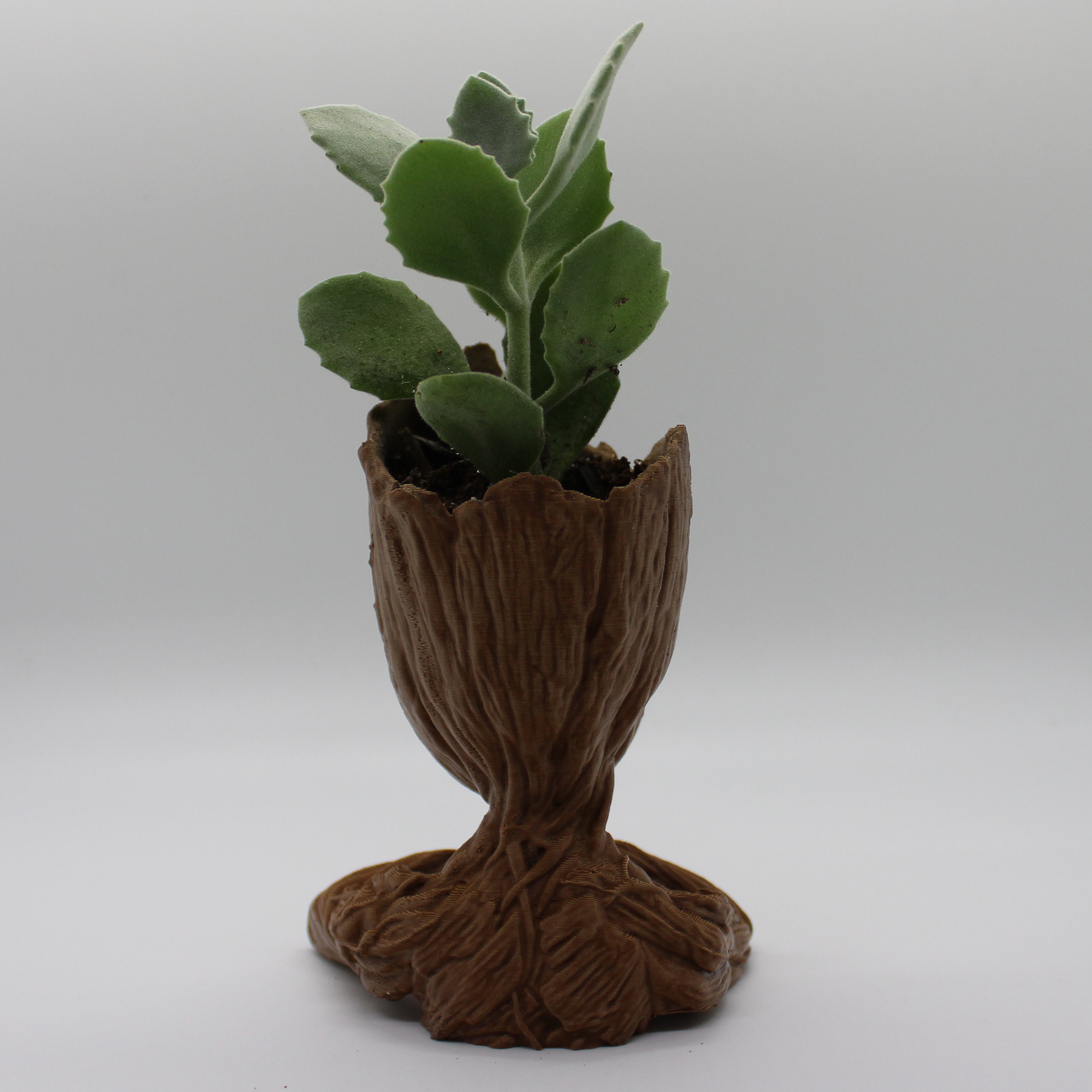 Baby Groot Planter Succulent Planter 3D Printed - Etsy