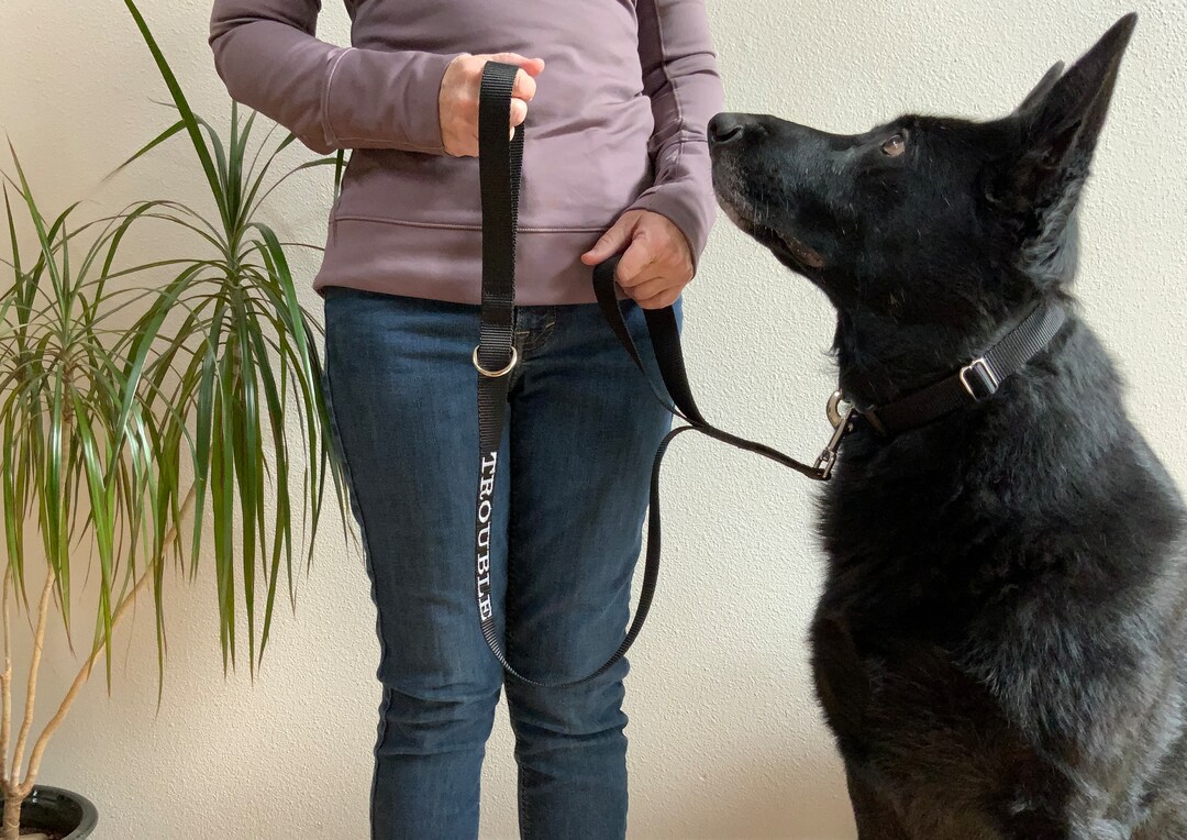 Dog Leash With Traffic Handle, Custom and Personalized, Puppy Training ...