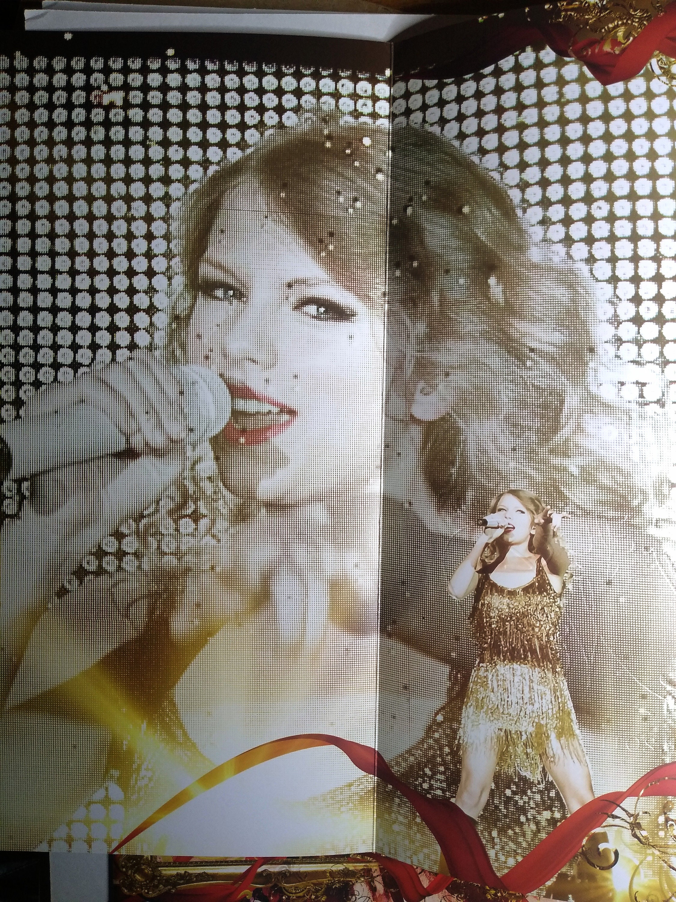 Taylor Swift Speak Now World Tour 2011 Program Book With Original ...
