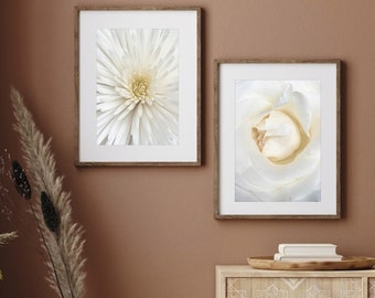 Set of 2 Photos - Etsy