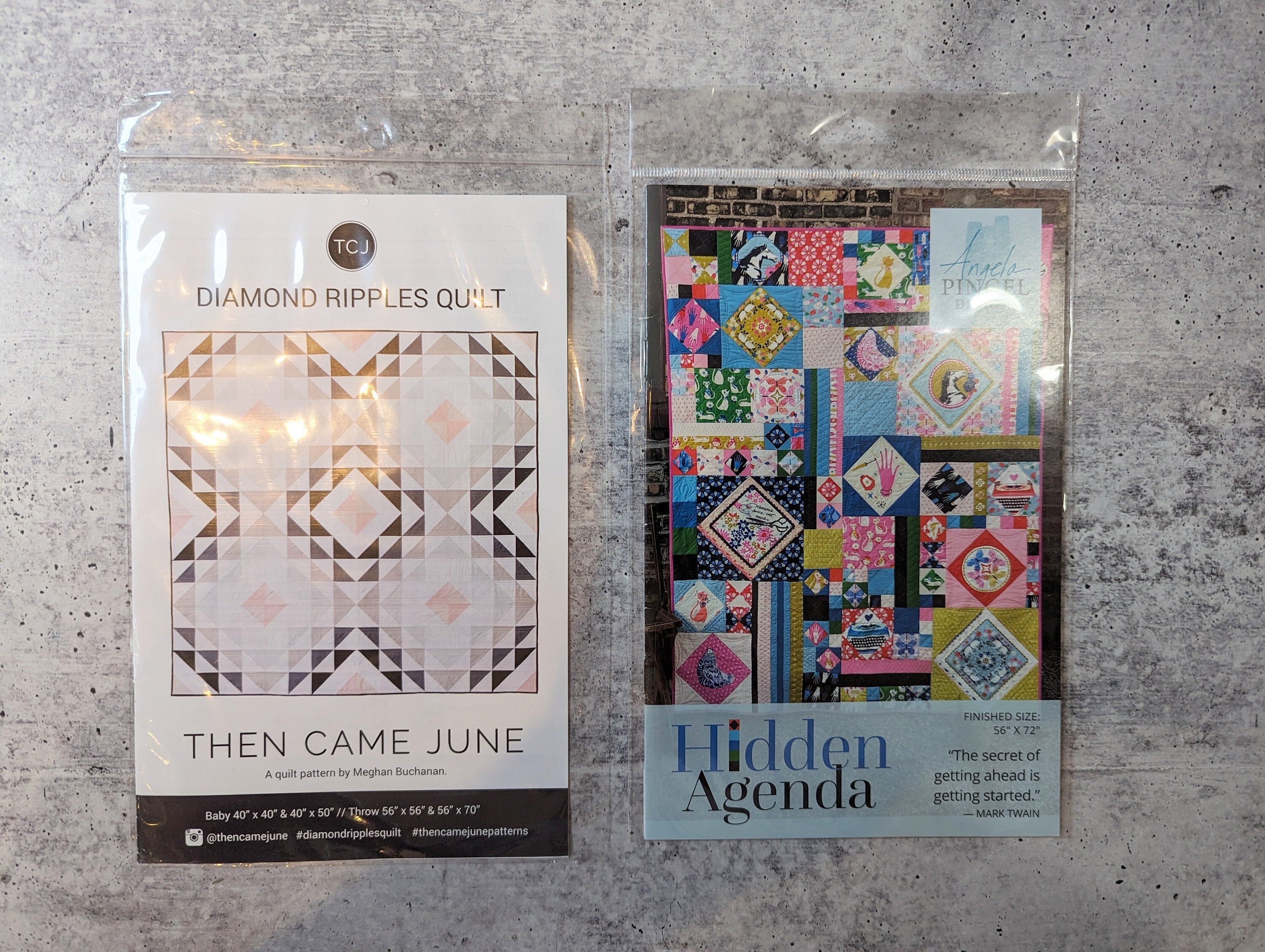 New Quilt Patterns Your Choice Hidden Agenda by Angela Pingel - Etsy