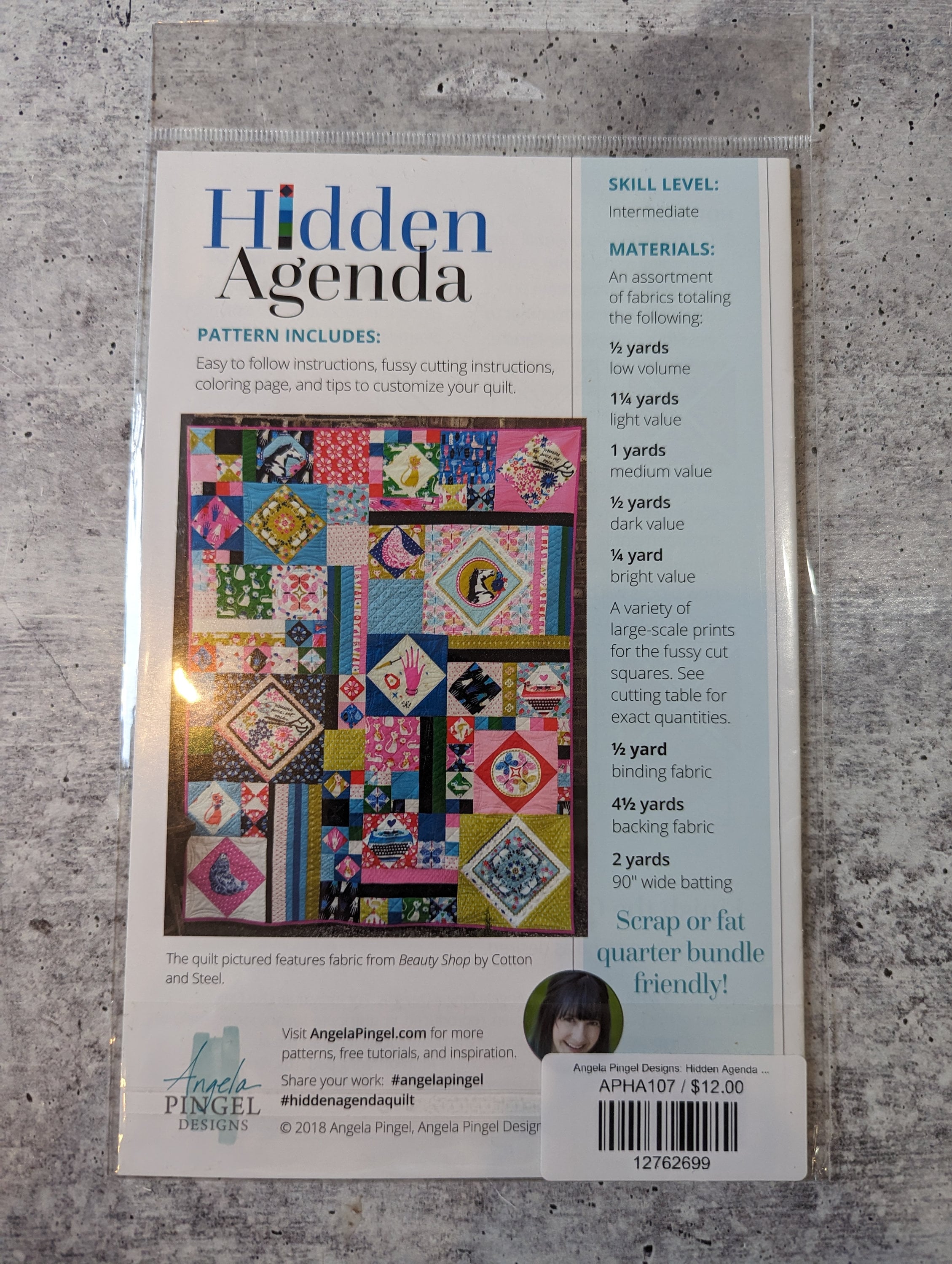 New Quilt Patterns Your Choice Hidden Agenda by Angela Pingel - Etsy
