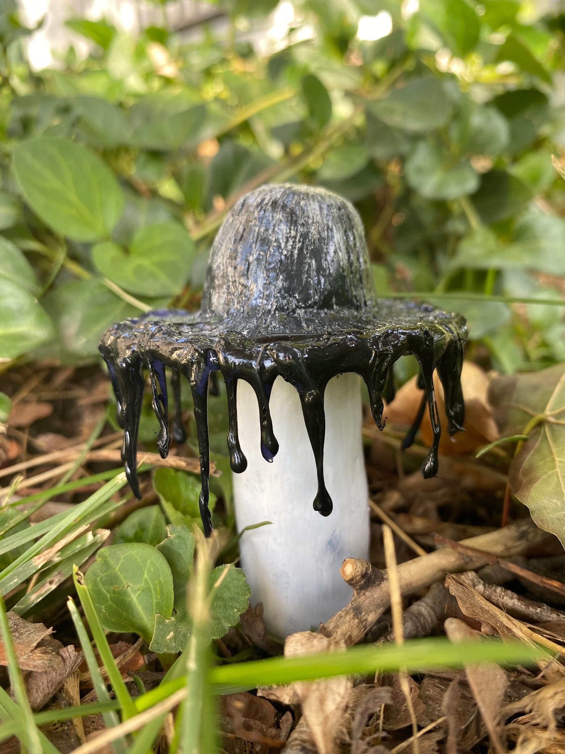 Inky Cap Mushroom Jar - Etsy