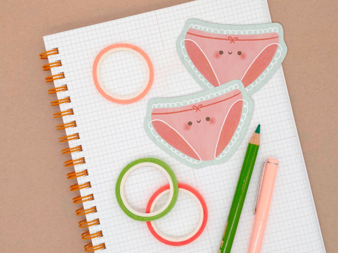 Pink Undies Vinyl Sticker Kawaii Sticker Cute Underwear | Etsy
