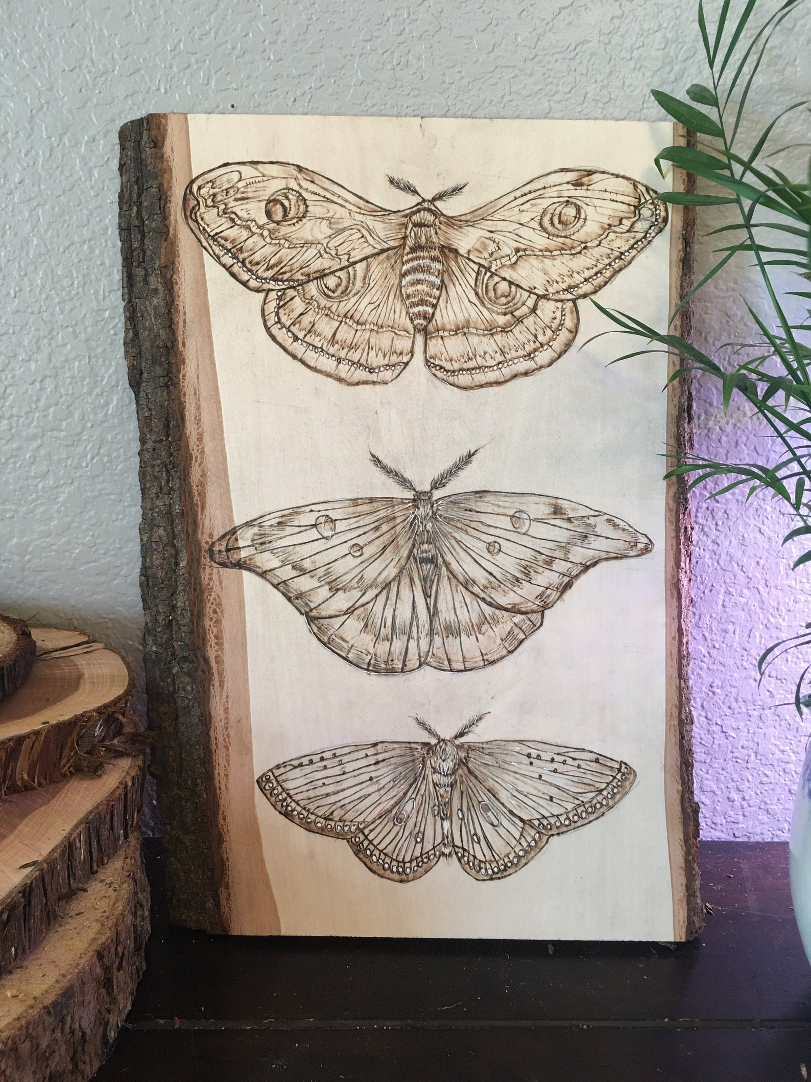 Butterfly Wood Burning | Etsy