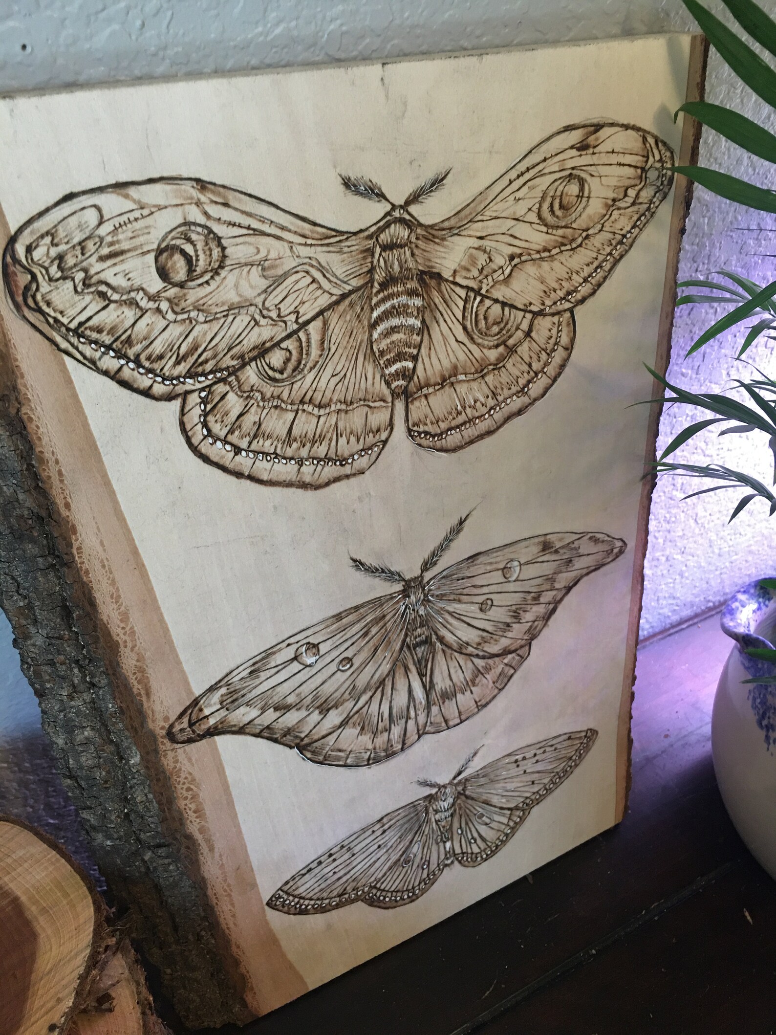 Butterfly Wood Burning | Etsy