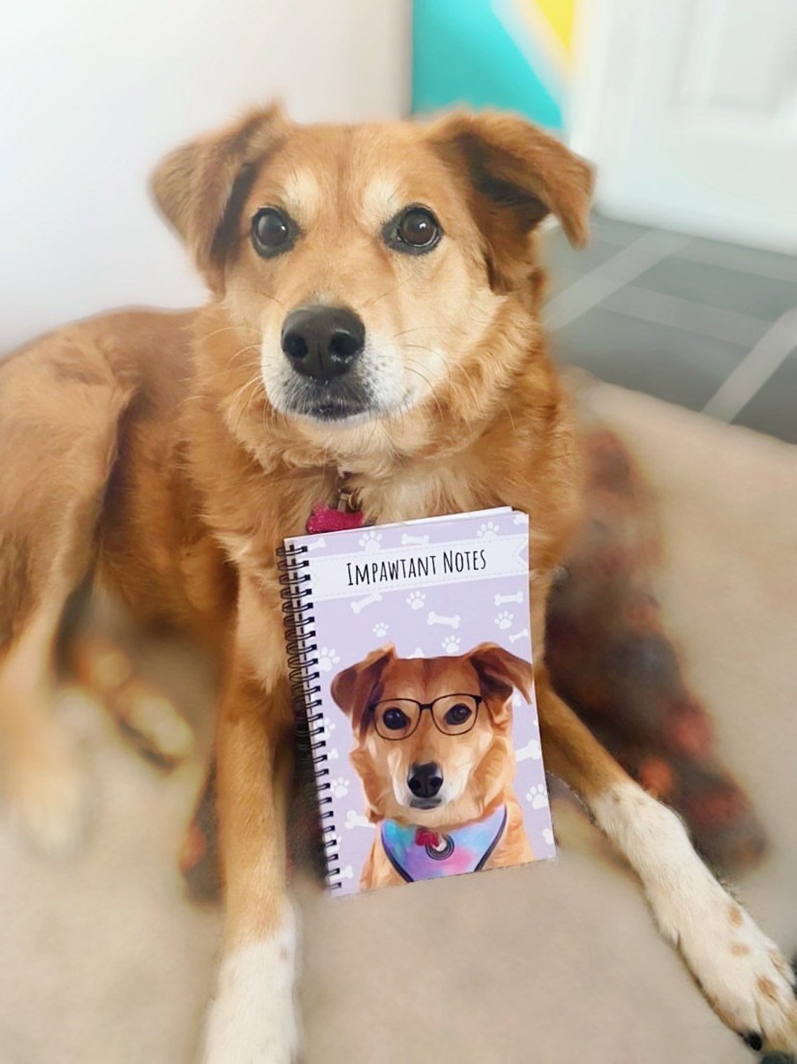 Family Pet Notebook Dog Rabbit Notebook animal Notebook. | Etsy