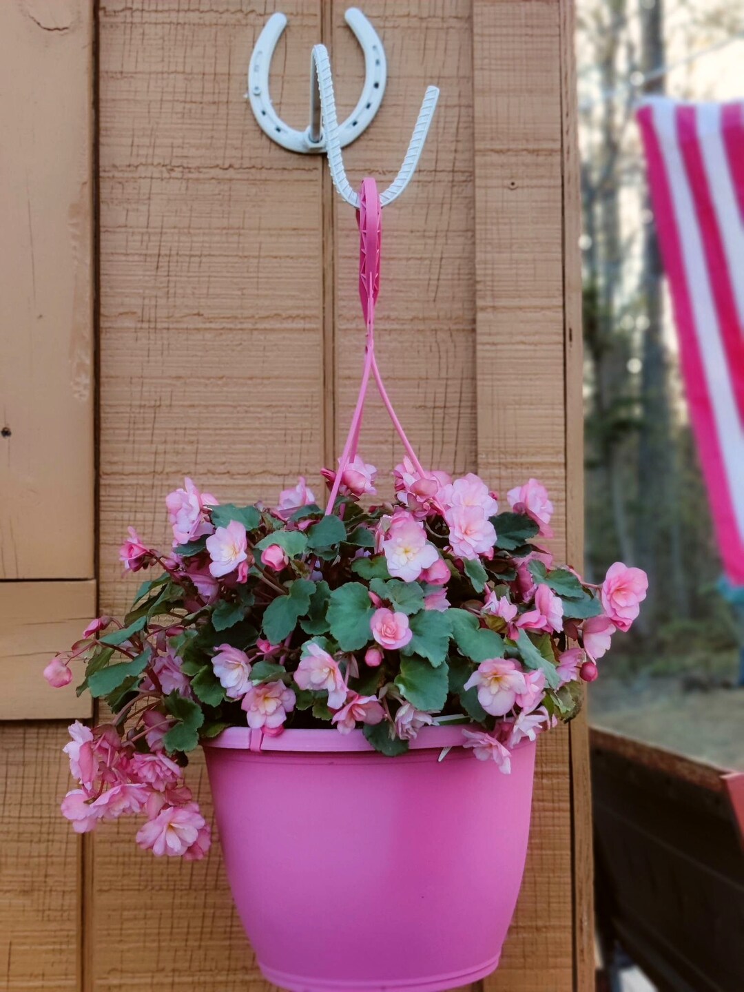 Bon Flower Plant Hanger, Flower Hook, Plant Hook, Flower Pot Hanging ...