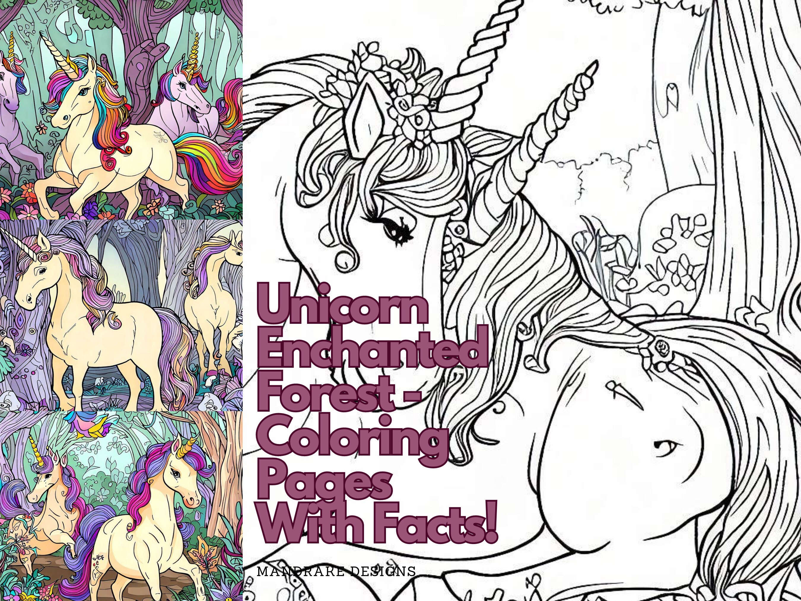 Printable Unicorn Coloring Pages With Facts, Unicorn Games, Unicorn ...